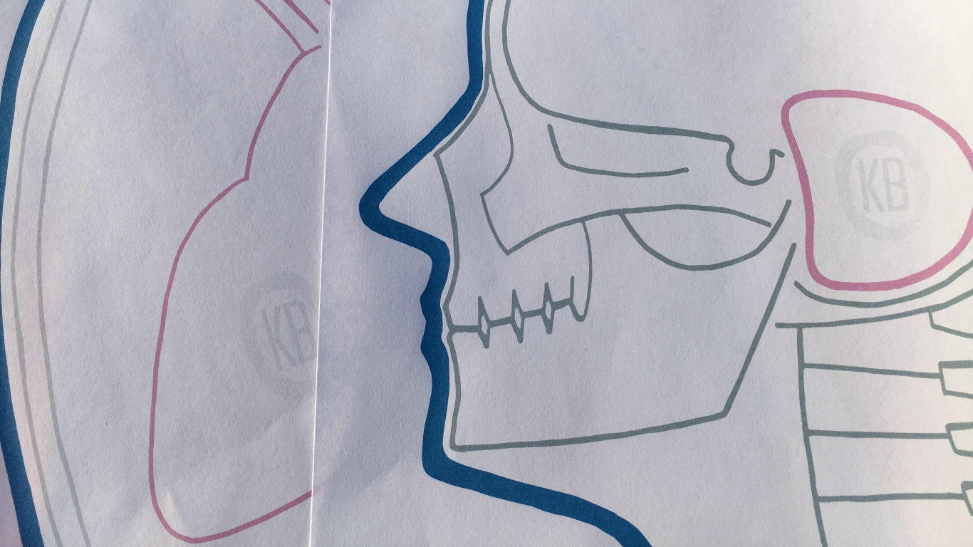 The Profile Anatomy Targets AKA Ambush Targets | Kit Badger